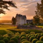 Exclusive Wine Day Trip Loire Valley from Paris - Final Thoughts: Who Will Love This Tour?
