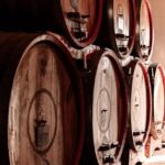 Exclusive Wine Experience: Venetian Best Vineyards - What to Expect from the Tour