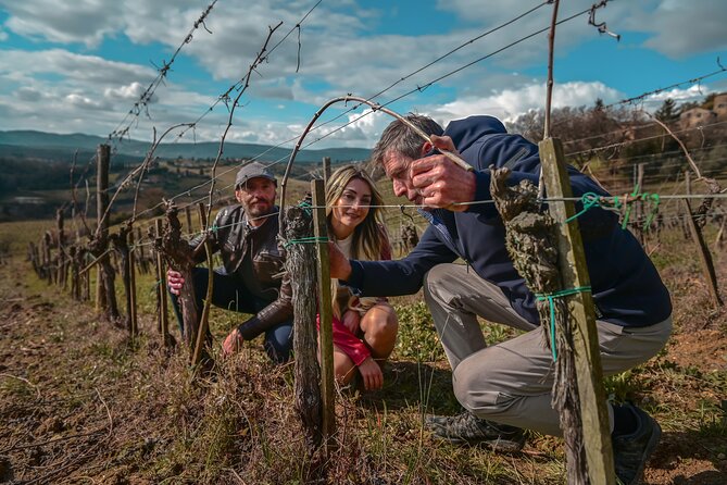 Exclusive Wine Tour and Tasting Experience in Siena - Discovering the Exclusive Wine Tour and Tasting Experience in Siena