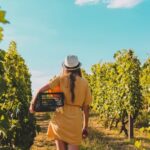 Exclusive Wine Tour: Sardinian Winery + Round-Trip Transfer - A Detailed Look at the Itinerary