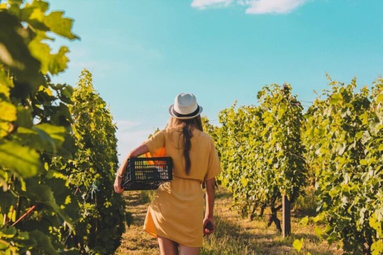 Exclusive Wine Tour: Sardinian Winery + Round-Trip Transfer - A Detailed Look at the Itinerary