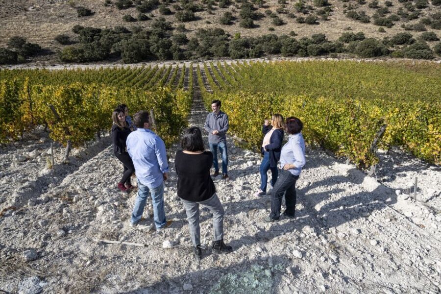 Exclusive Winery tour and tasting in the Golden Mile - Authentic, Tasteful, and Educational