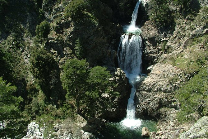 Excursion and hiking in Calabria, Italy - Discovering Calabria: Guided Hike in Aspromonte National Park