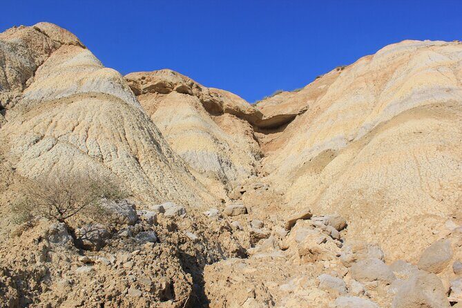 Excursion by car with official guide in Bardenas Reales - Detailed Breakdown of the Itinerary