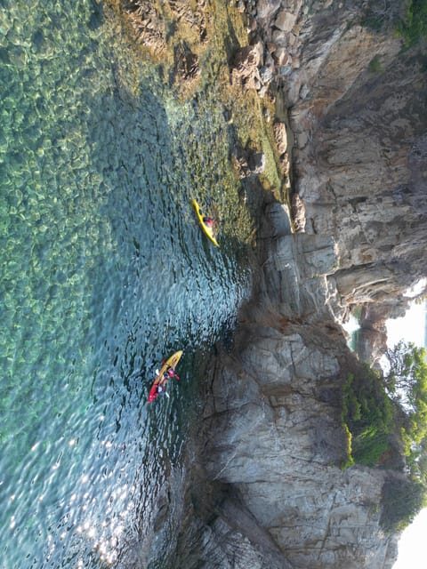 EXCURSION GUIADA EN KAYAK - INICIACIÓN 1h 15m - Considerations and Caveats Based on Reviews