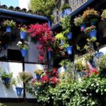 Excursion to Córdoba from Malaga - Who is This Tour Best For?