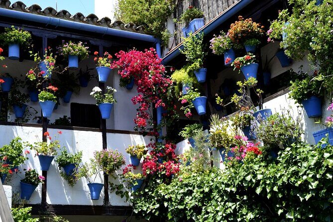 Excursion to Córdoba from Malaga - Who is This Tour Best For?