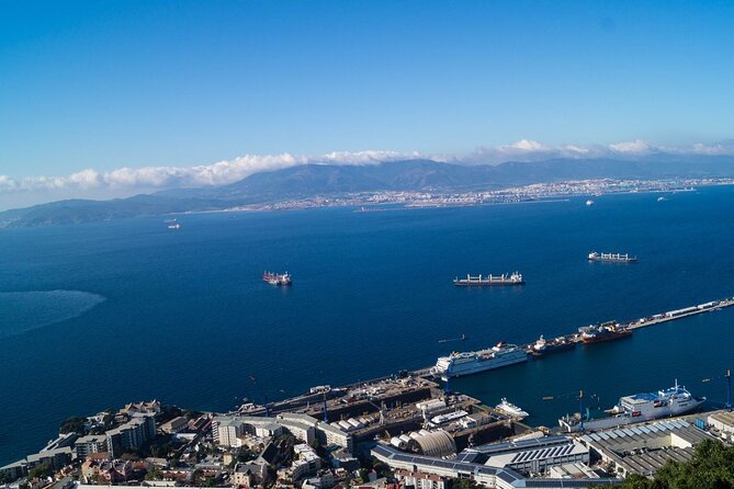 Excursion to Gibraltar with Dolphin Watching from Malaga - The Value of This Tour