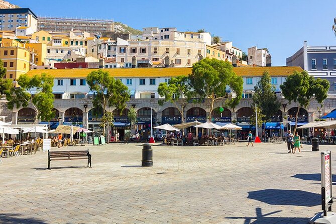 Excursion to Gibraltar with Rock Tour From Malaga - A Closer Look at the Gibraltar Rock Tour from Malaga