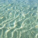 Excursion to Porquerolles Island from Bandol - What’s Included and What’s Not