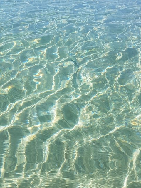 Excursion to Porquerolles Island from Bandol - What’s Included and What’s Not