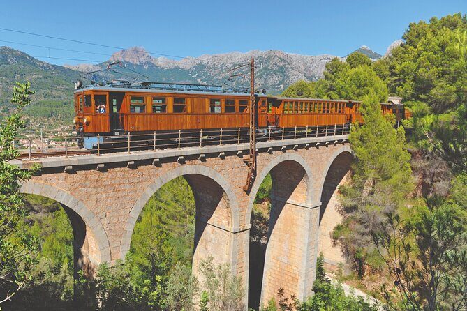 Excursion to Sóller and Puerto de Sóller with train and tram - What to Expect: The Practical Details