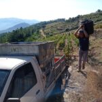 Experience in Pinhão: Wine Tasting, Lunch and Rabelo Boat - The Rabelo Boat Experience