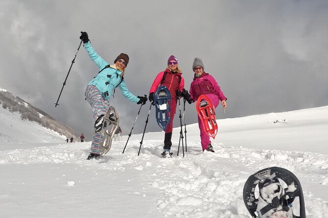 Experience Snowshoeing in Olympic Mountain Bjelanica - Key Points