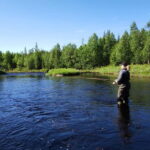Experience the beautiful Marrasjoki - What To Expect on the Marrasjoki Tour