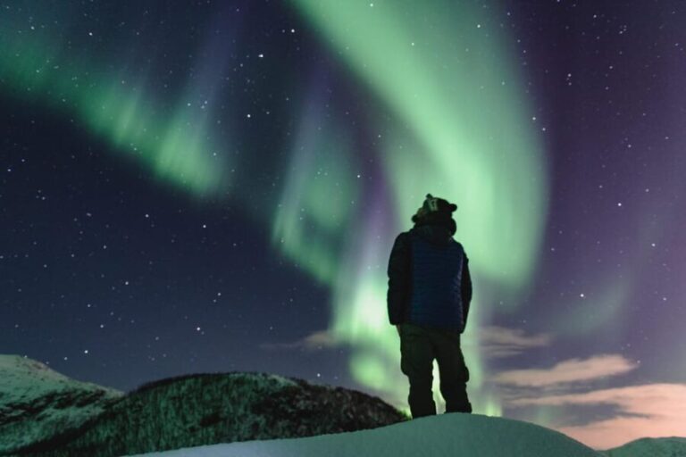 Experience the Magic of the Northern Lights in Lofoten! - The Itinerary: What Does the Night Look Like?