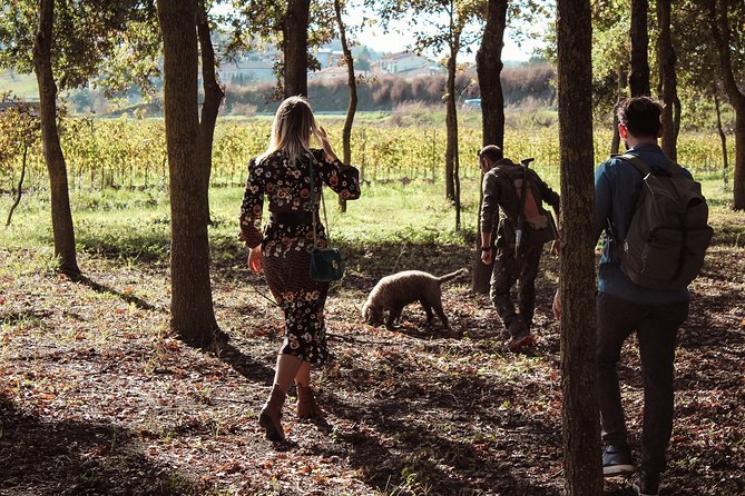 Experience Tuscan Truffle Hunting with Wine and Lunch - Experience Tuscan Truffle Hunting with Wine and Lunch: A Complete Guide