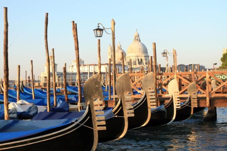 Experience Venice Like a Local  Guided Tour From Padua - Weighing the Value