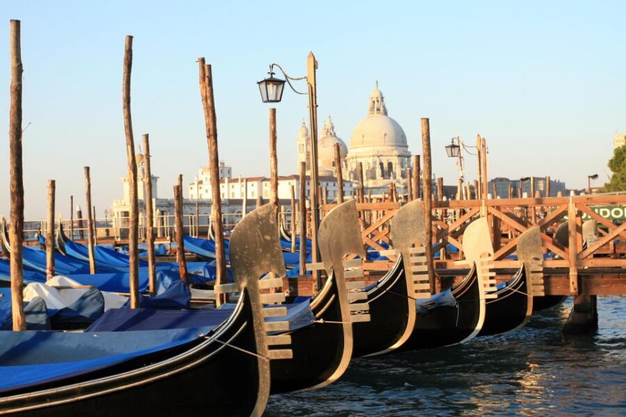 Experience Venice Like a Local  Guided Tour From Padua - Weighing the Value