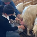 Experience with Girgentan goats in Agrigento - Who Will Love This Tour?