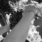 Exploration Oenologique au Château Labrie St Emilion GC - Final Thoughts