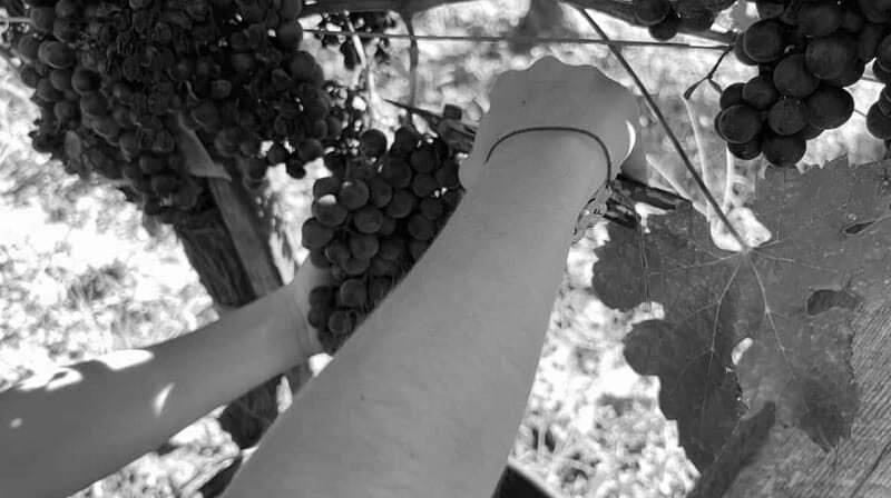Exploration Oenologique au Château Labrie St Emilion GC - Final Thoughts