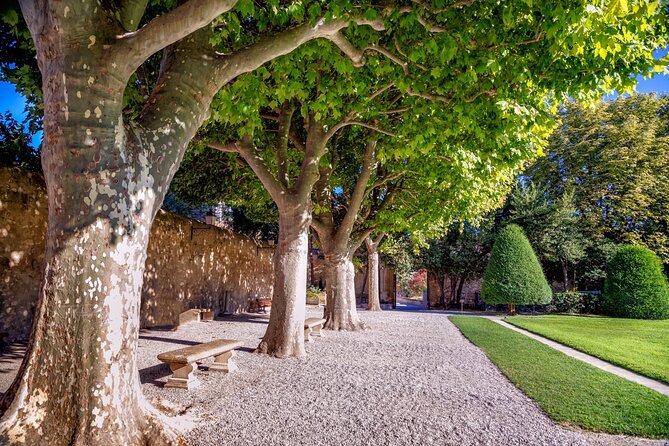Explore Aix-en-Provence in 60 minutes with a Local - Key Points