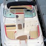 Explore Bird & Marine Wildlife private Boat Tour in English - The Itinerary in Detail: What to Expect