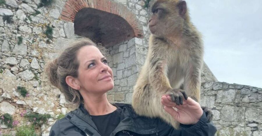 Explore Gibraltar with a Private Guide from Malaga. - Detailed Look at the Itinerary