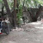 Explore Paphos forest with e-mountain bikes - What Makes This Tour Stand Out