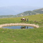 Explore Rabdisht: Guided Tour of the Stone Village - Who Will Love This Tour?
