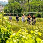 Explore Saint-Émilion on e-Bikes: Small Group, half-Day Tour - An In-Depth Look at the Saint-Émilion E-Bike Tour
