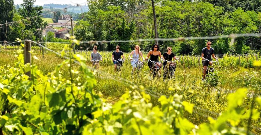 Explore Saint-Émilion on e-Bikes: Small Group, half-Day Tour - An In-Depth Look at the Saint-Émilion E-Bike Tour