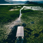 Explore Skadar Lake: Exclusive Guided Boat Falcon Tour! - Exploring the Lake’s Highlights