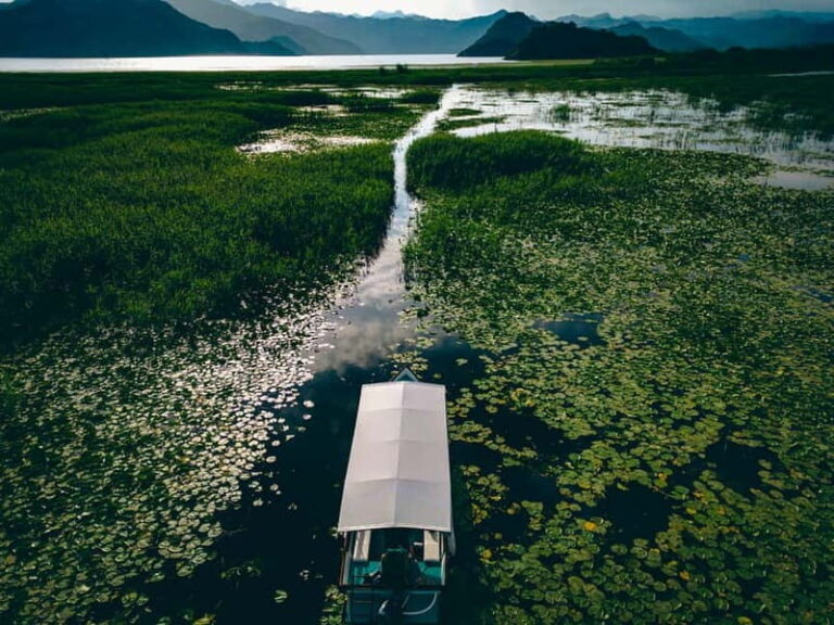 Explore Skadar Lake: Exclusive Guided Boat Falcon Tour! - Exploring the Lake’s Highlights