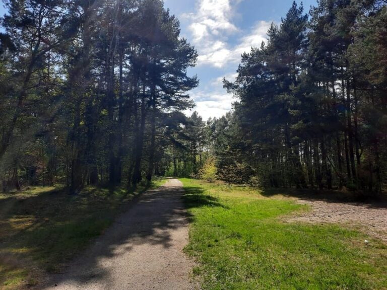 Explore Sobieszewo Island: Nature Walk & Wildlife Tour - A Gentle Introduction to Sobieszewo Island