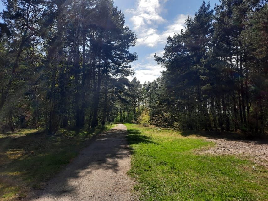 Explore Sobieszewo Island: Nature Walk & Wildlife Tour - A Gentle Introduction to Sobieszewo Island