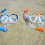 Explore Tenerife with the Snorkel Kit - The Marine Environment and Highlights