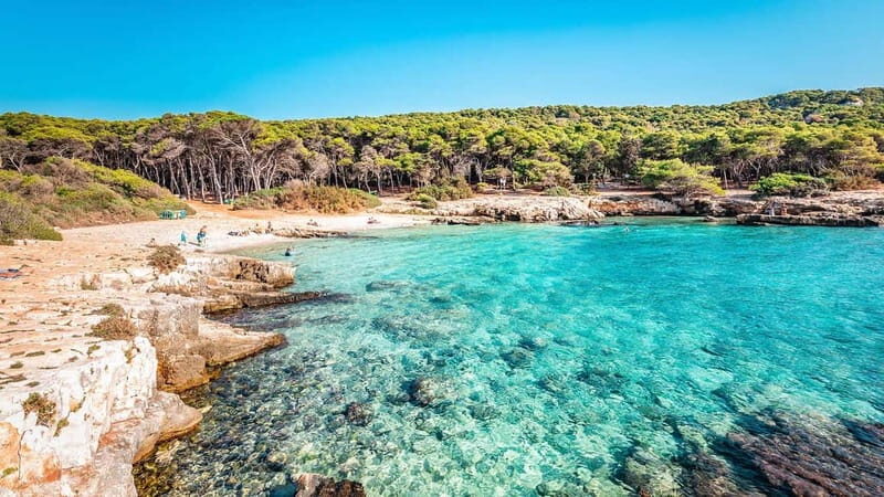 Explore the Beauty of Porto Selvaggio Self-Guided Bike Tour - Value and Practicalities