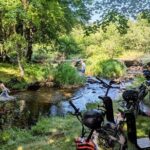 Explore the forests of Haut Languedoc on an electric scooter - Hidden Treasures and Spectacular Views
