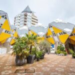 Explore the Instaworthy Spots of Rotterdam with a Local - Who Is This Tour Best For?