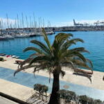Explore Valencias Coast: Boat trip to Valencian Venice - Who Should Consider This Tour?