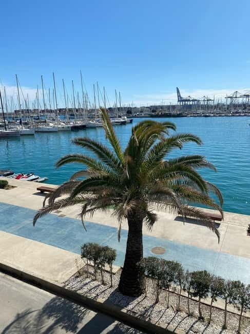 Explore Valencias Coast: Boat trip to Valencian Venice - Who Should Consider This Tour?