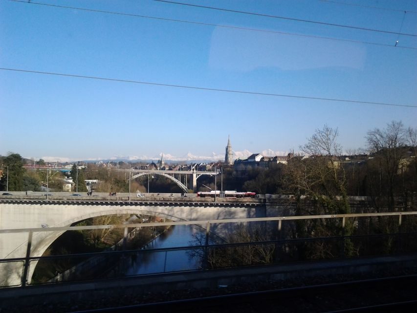 Exploring UNESCO Gem: Private 3-Hour Walking Tour of Bern - Encounter the Bärenpark (Bear Park)