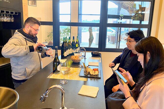 Exquisite Wines Tasting Chateau Pommard, Chablis Small-Group Trip - A Detailed Look at the Burgundy Day Trip Experience