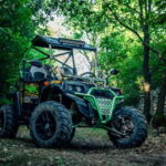 Faana: Guided Buggy Tour in the Heart of Istria - The Value of the Tour