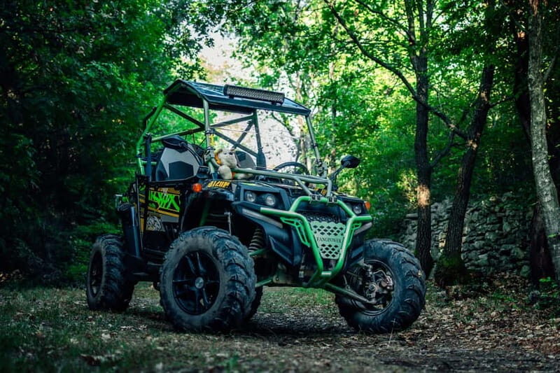 Faana: Guided Buggy Tour in the Heart of Istria - The Value of the Tour