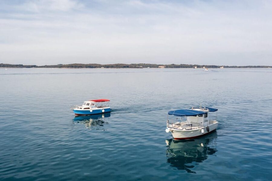 Faana: Sail like a president with Brijuni Panorama - Who Will Love This Tour?