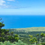 Faial Island: Caldeira Perimeter Hiking Tour - What Travelers Can Expect
