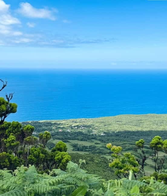 Faial Island: Caldeira Perimeter Hiking Tour - What Travelers Can Expect
